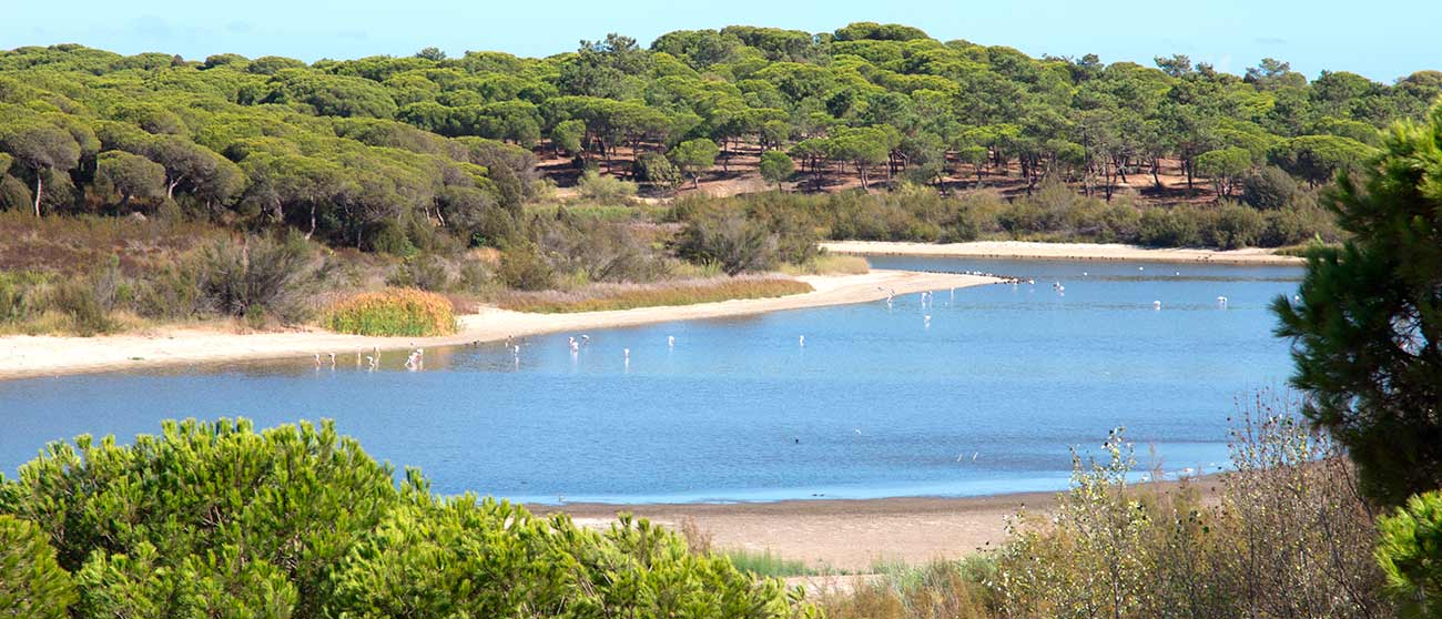 Playa de El Portil, un paraiso familiar en la costa de Huelva